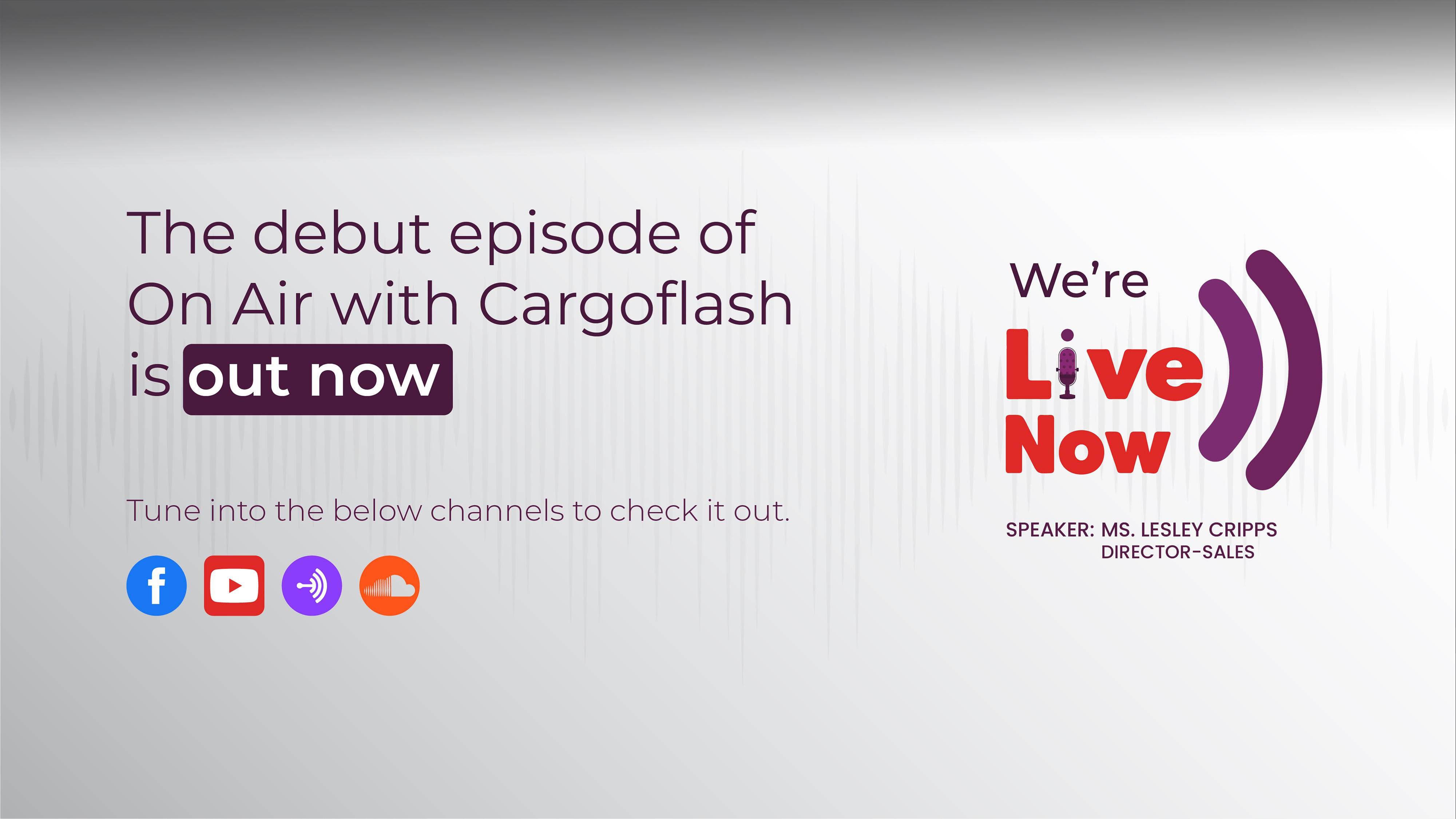 Cargoflash - One of the Leading IT Service Provider for the Air Cargo ...